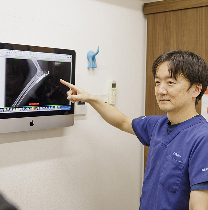 整形外科 | 富山市の動物病院／チェルシーアニマルクリニック